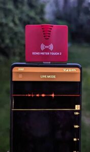 Top 5: Bat Detectors – Hoopoe – A blog by nhbs