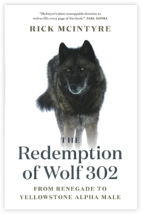 Book Review: The Redemption of Wolf 302 – Hoopoe – A blog by nhbs