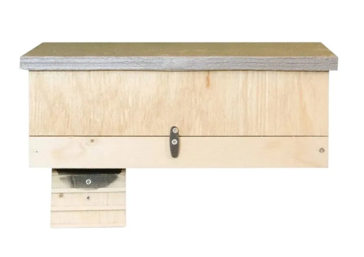 The NHBS Guide to Swift Nest Boxes