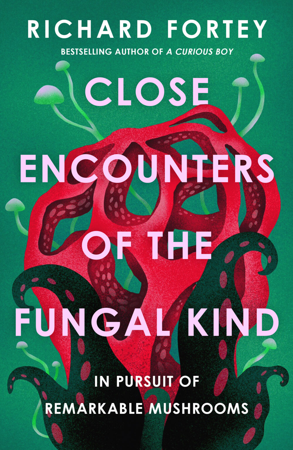 Books of the Year