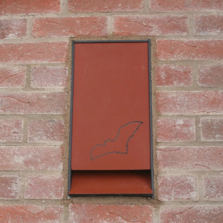Bat Boxes for New Build Projects