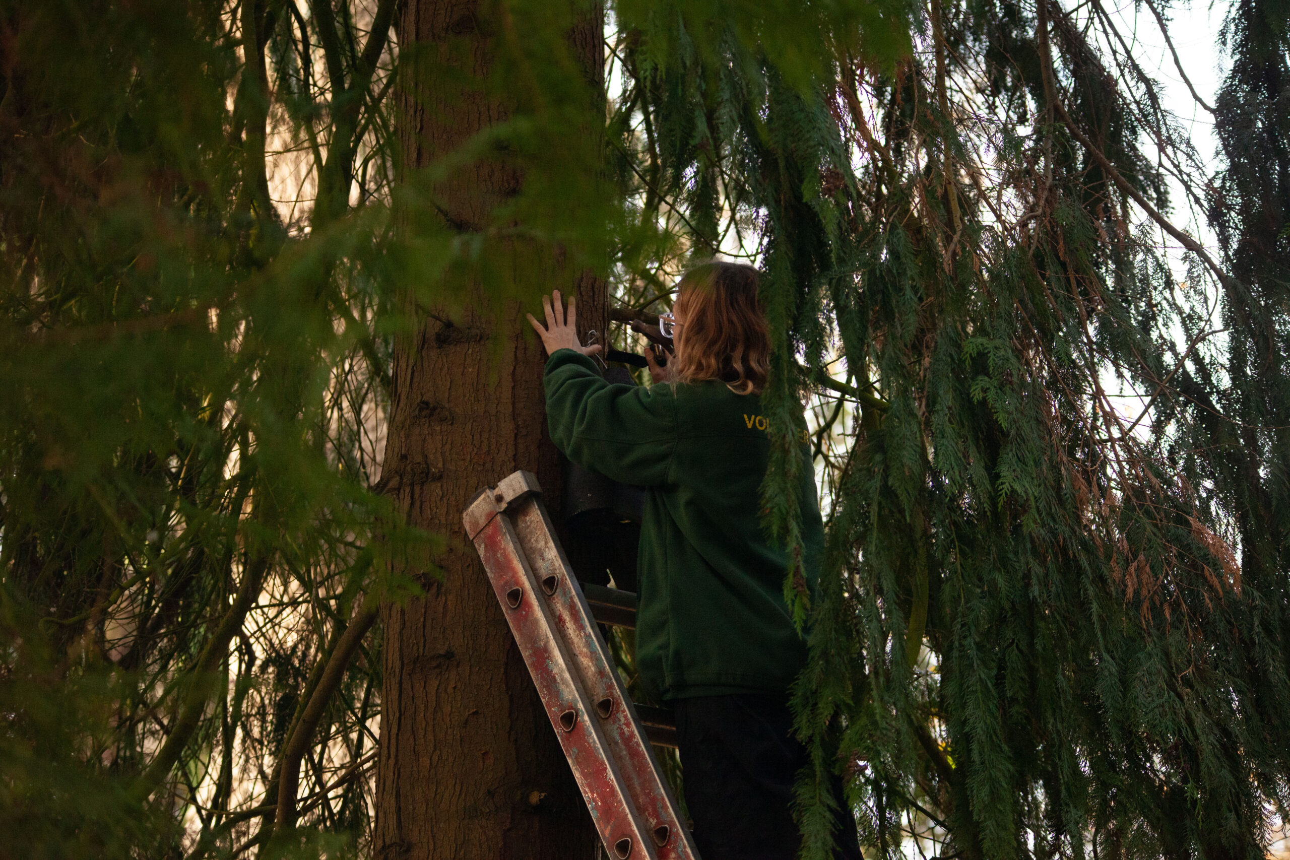 Interview with Charlotte Mead: The Wildwood Trust