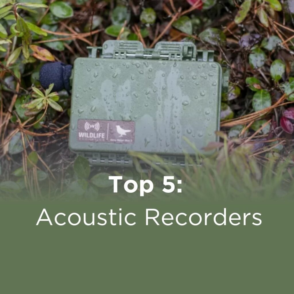 Top 5: Acoustic Recorders – Hoopoe – A blog by nhbs