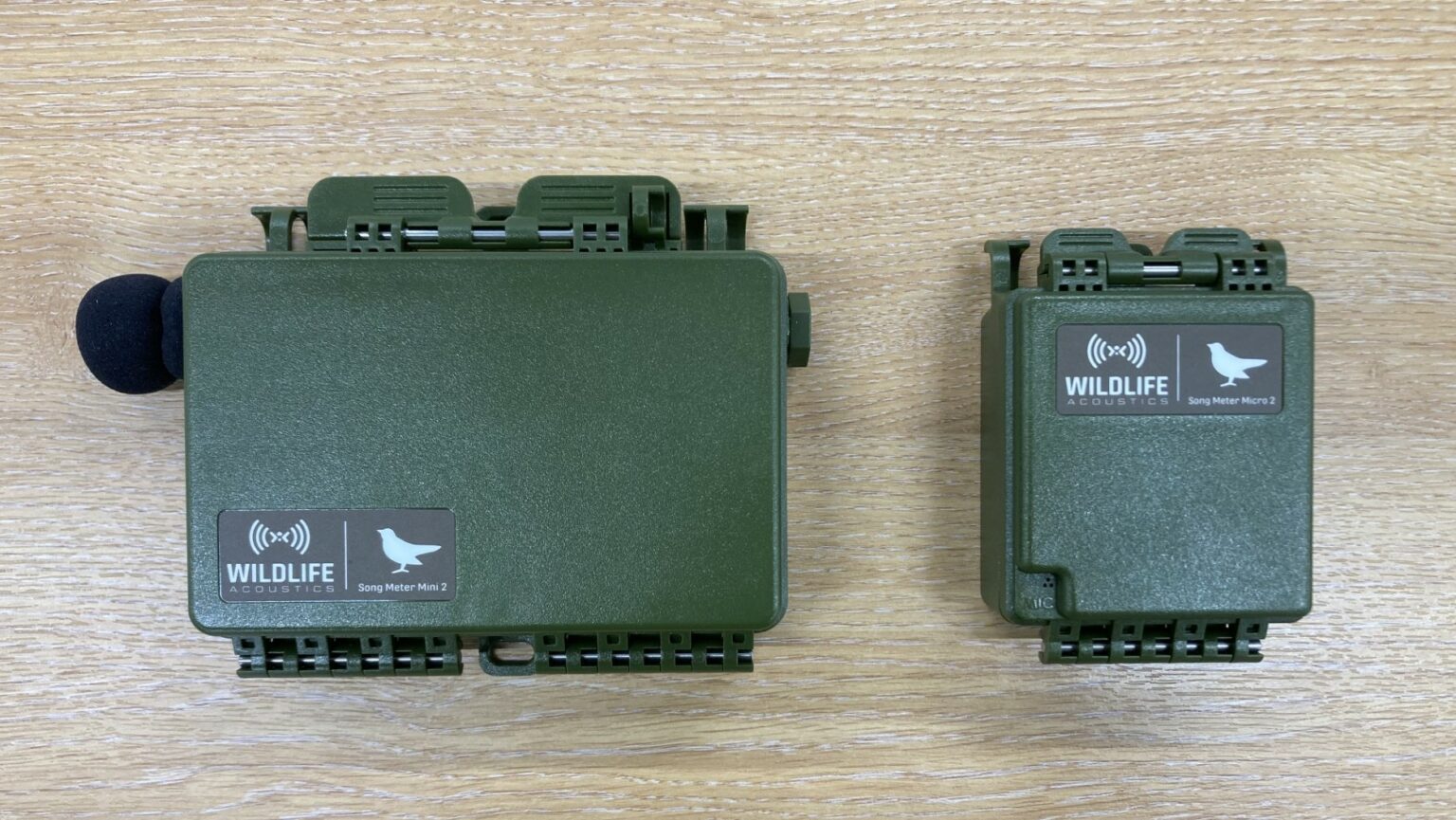NHBS In the Field – Song Meter Mini 2 and Micro 2