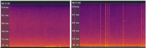 NHBS In the Field – Song Meter Mini 2 and Micro 2