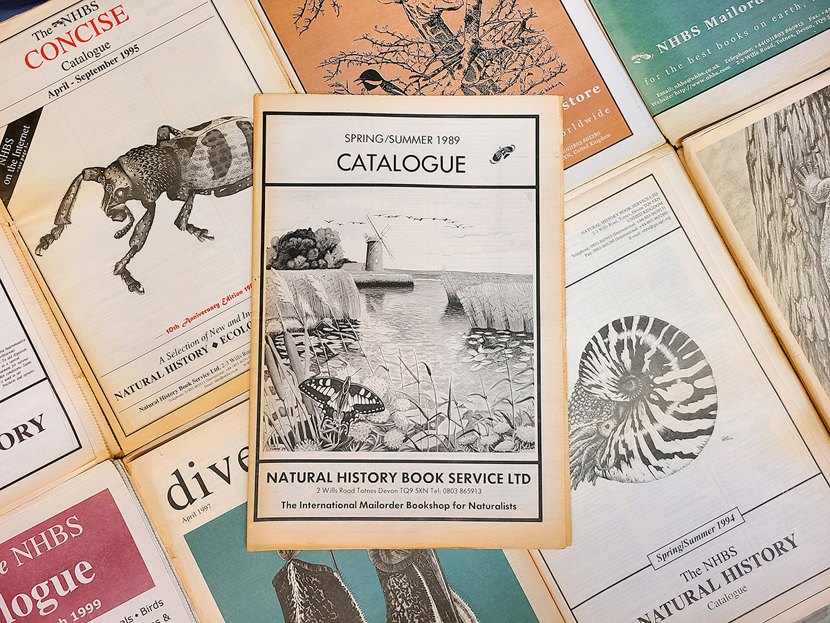 Hoopoe – A blog by nhbs – The NHBS Conservation Hub – news, reviews and ...