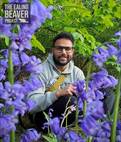 Bringing the Beaver Back to Ealing: A Community-Led Rewilding Success Story
