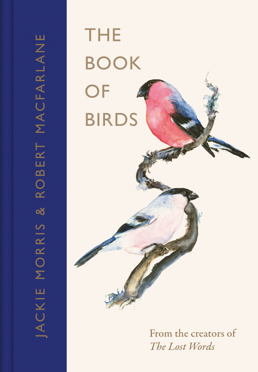 Author Interview with Jackie Morris: The Book of Birds